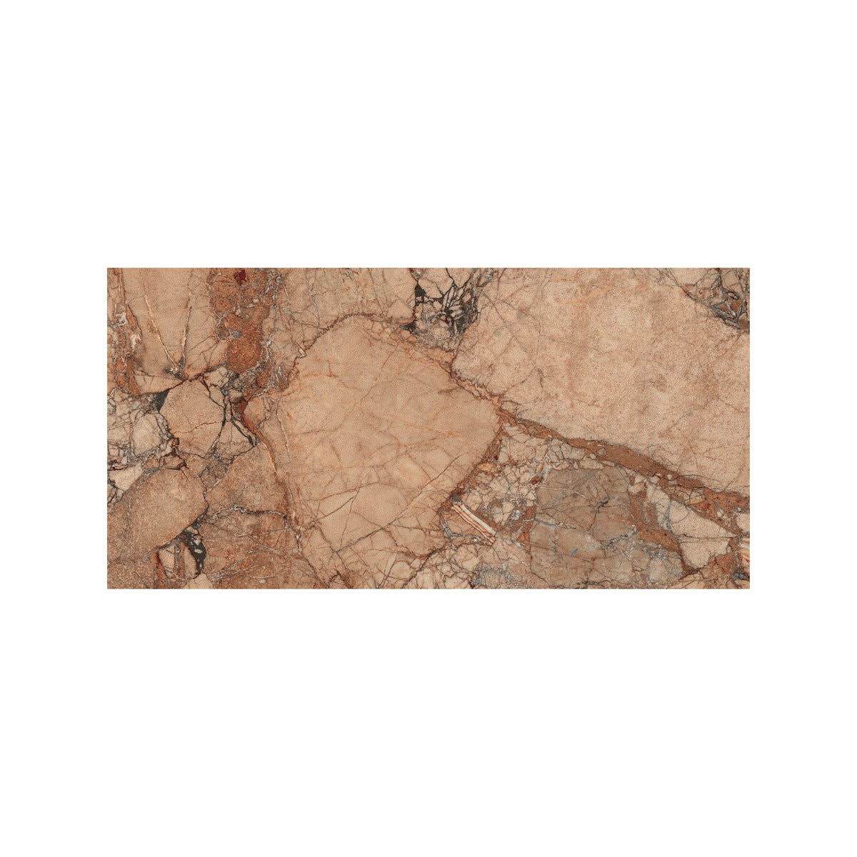 breccia pernice