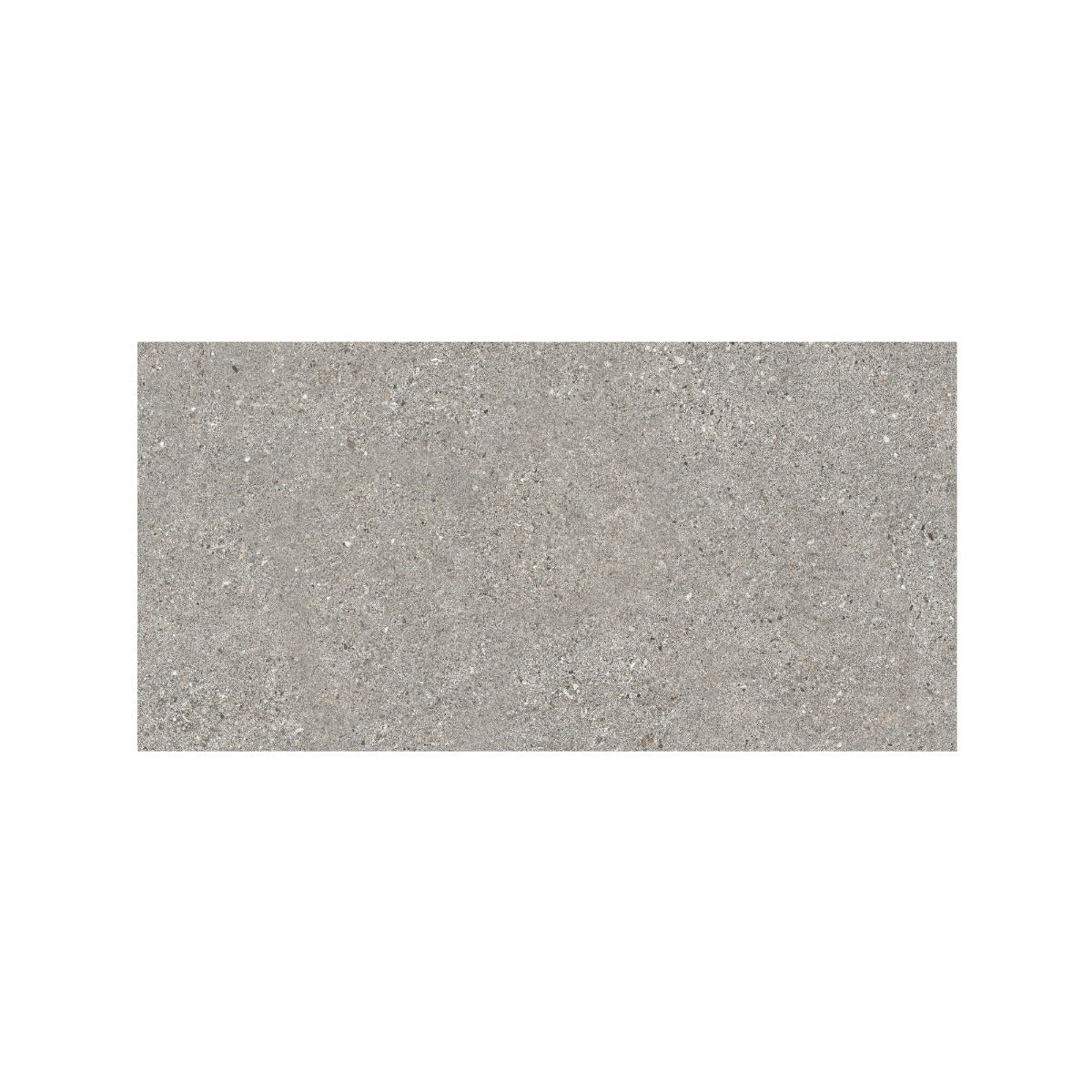 Piazza Grey 60 x 120 – Fired Earth