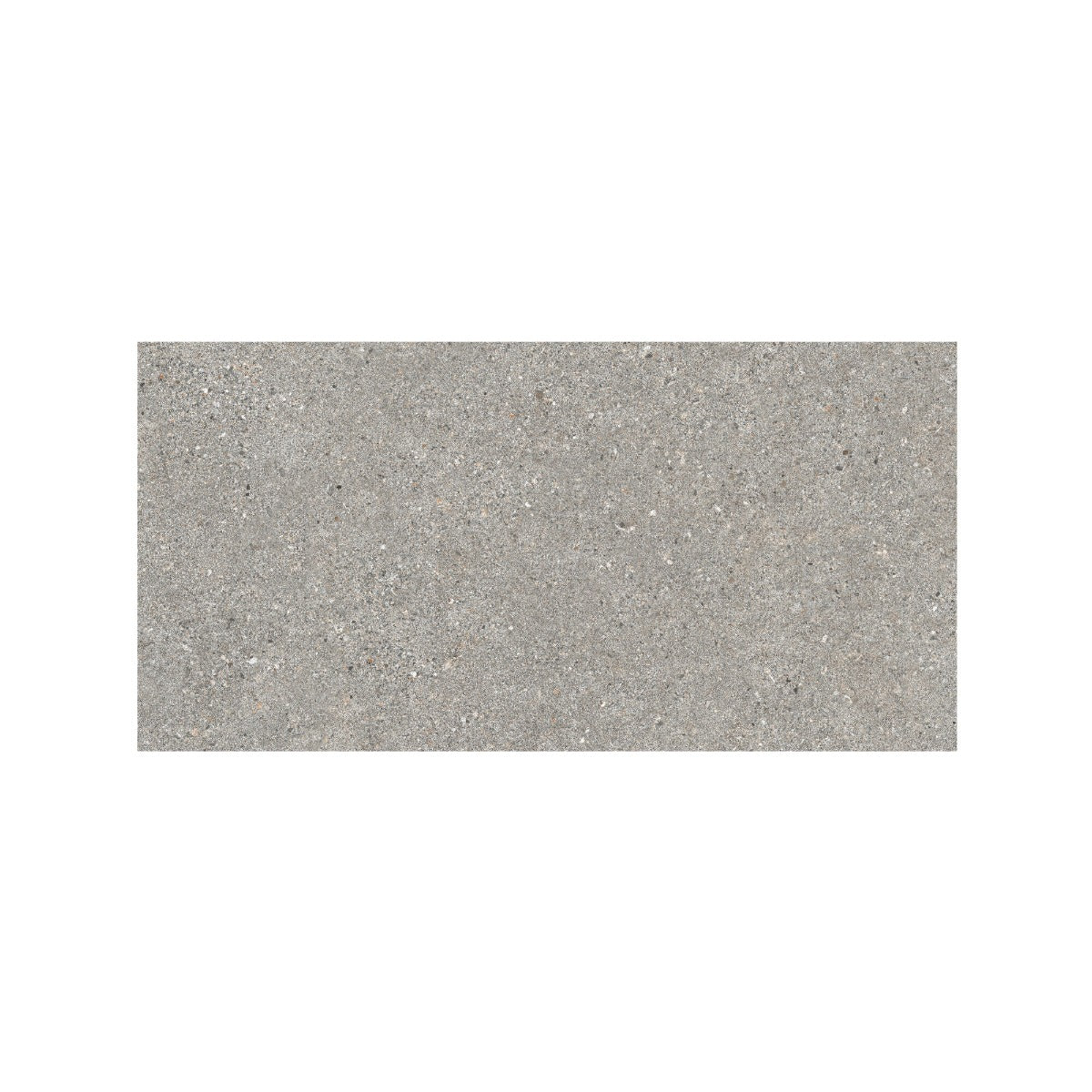 Piazza Grey 60 x 120 – Fired Earth
