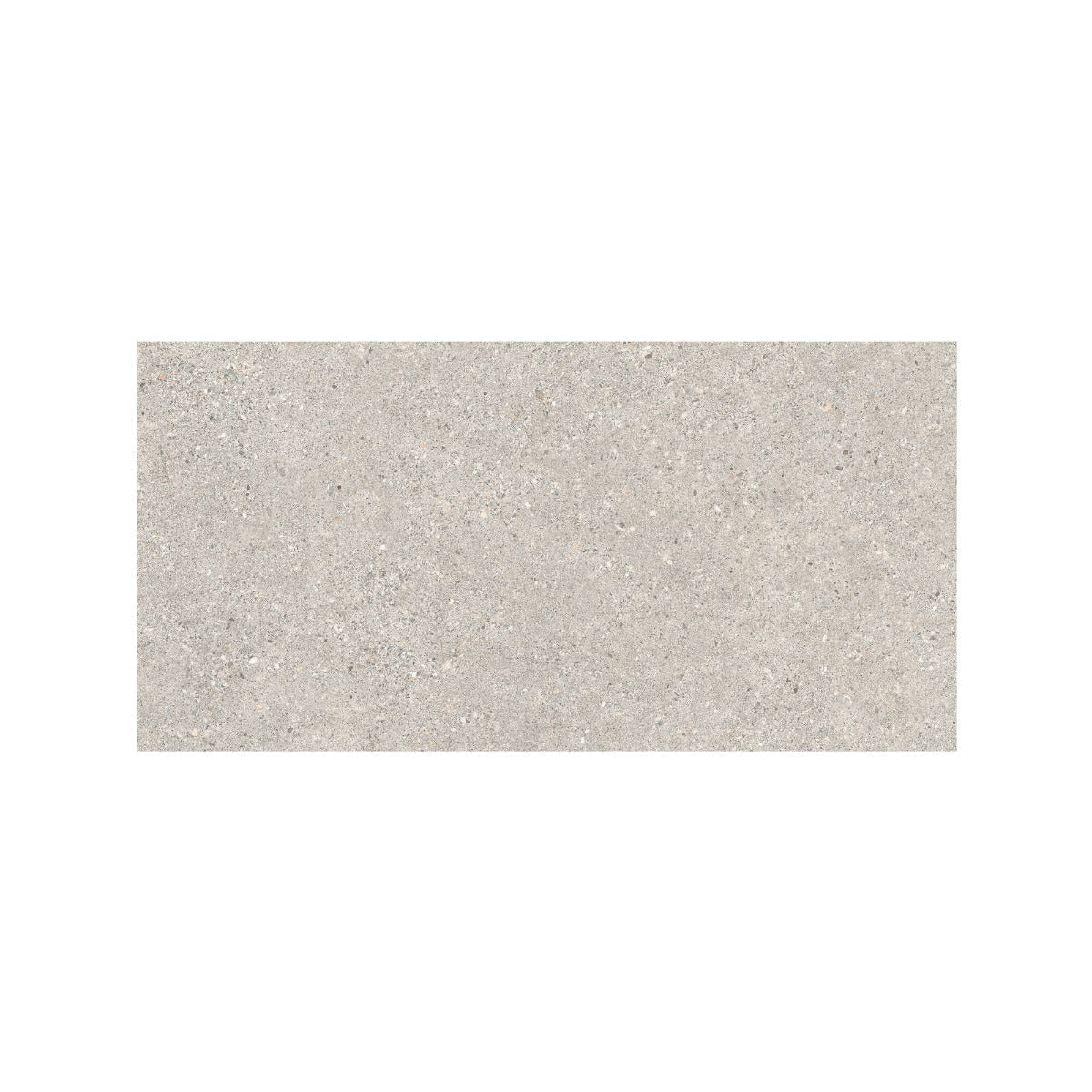 Piazza Silver 60 x 120 – Fired Earth