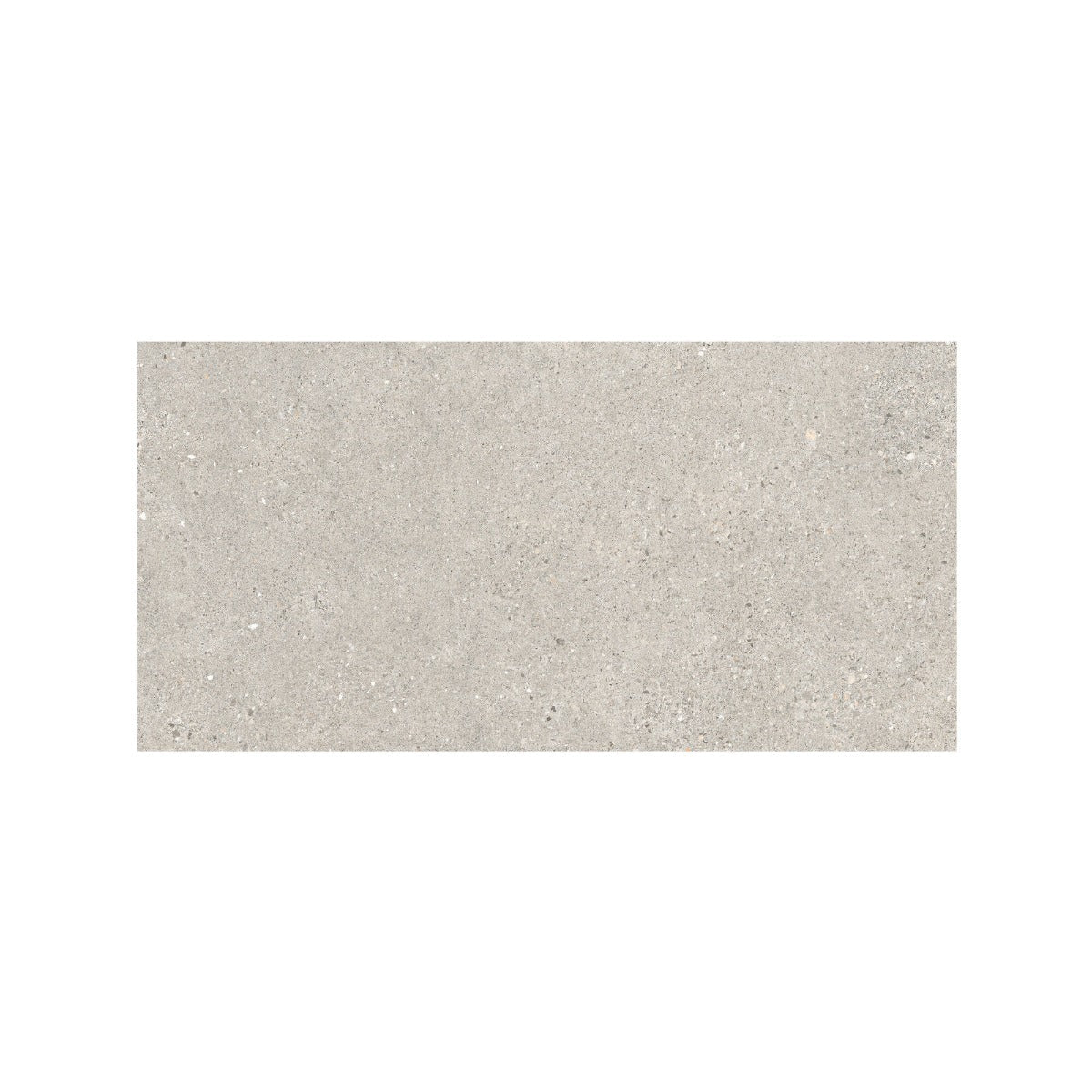 Piazza Silver 60 x 120 – Fired Earth